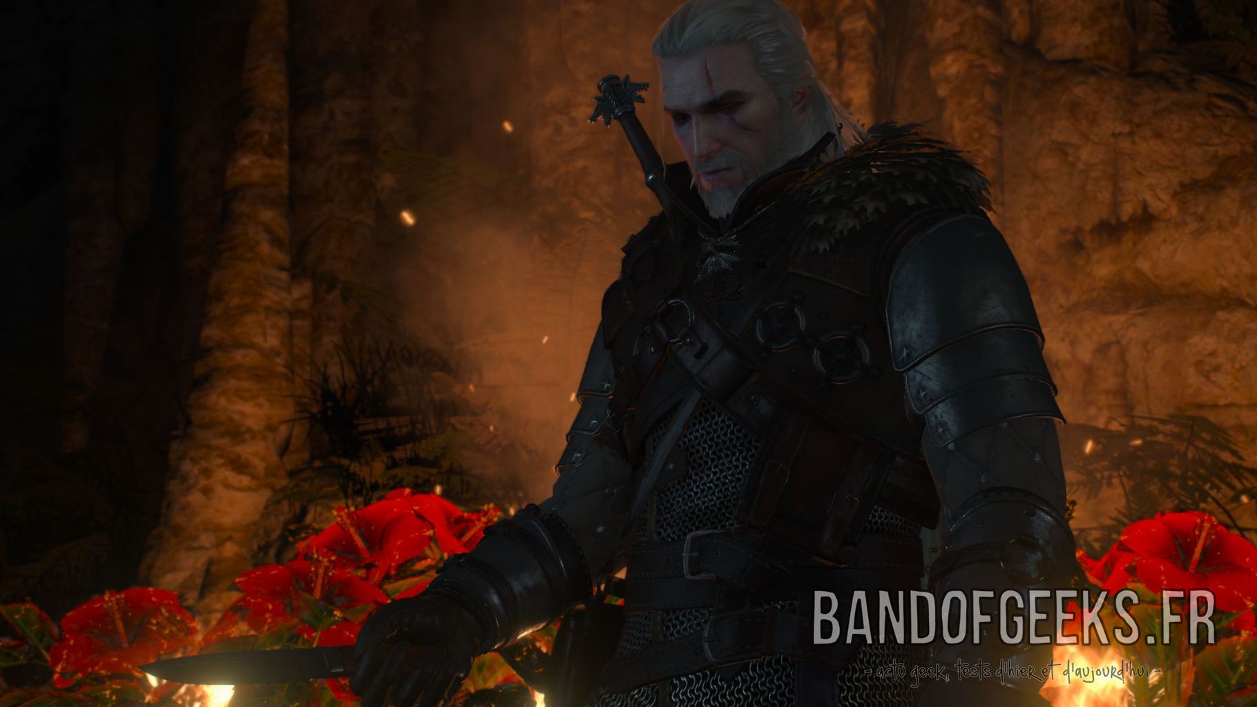 Contreforts de la Gorgone The Witcher III Wild Hunt Trophee Platine ...